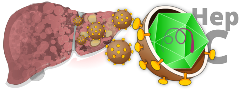 Hepatitis C – Cirrhosis Care